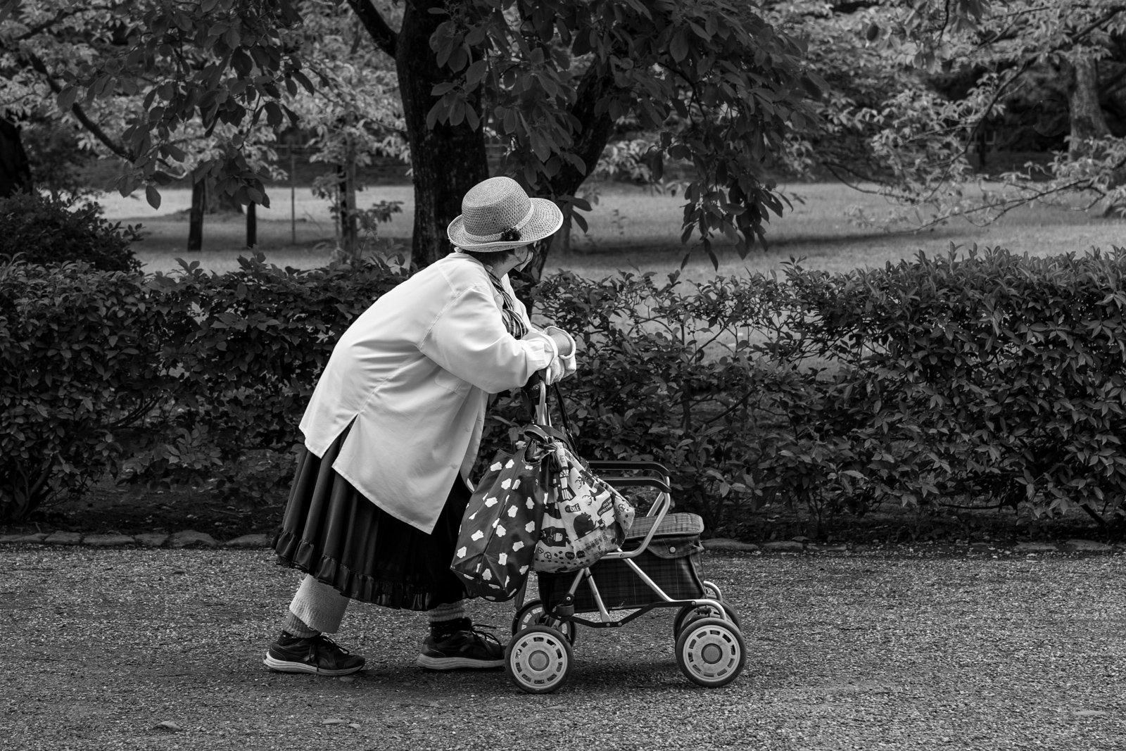 South Manchester Camera Club